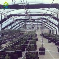 China 4.5-6.5m High Automated Light Dep Greenhouse Medical Flowerhouse Springhouse Greenhouse for sale