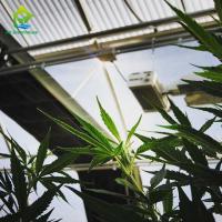 China Eco Friendly Automatic Light Dep Greenhouse 8m To 11m Width Plants Grow Greenhouse for sale