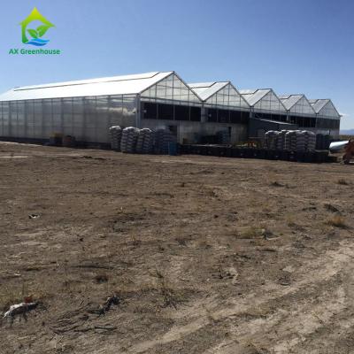 China Multi Span 10.8m Light Deprivation Greenhouse DIY Gutter Connected Greenhouse for sale