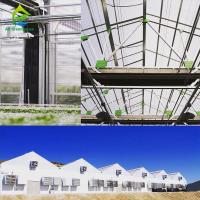 China Glass Cover Blackout Multi Span Greenhouse Gutter Connect Strawberry Plant Greenhouse for sale