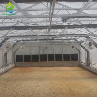 China Hemp Light Deprivation 20' X 100' Greenhouse 3 Layers Peppers Green House for sale