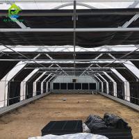 China Glass Cover Blackout Multi Span Greenhouse Gutter Connect Strawberry Plant Greenhouse for sale