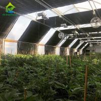 China Blackout Flowerhouse Conservatory Greenhouse Agriculture 10x20 Light Dep Greenhouse for sale