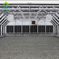 China 4.5-6.5m High Automated Light Dep Greenhouse Medical Flowerhouse Springhouse Greenhouse for sale