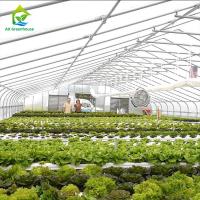 China Blackout Greenhouse For Medical Plants for sale
