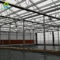 China 220V Gutter Connected Large Tunnel Greenhouse for sale