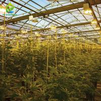 China Eco Friendly Automatic Light Dep Greenhouse 8m To 11m Width Plants Grow Greenhouse for sale