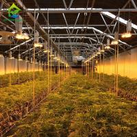 China Blackout Mushroom Single-span Tunnel Light Deprivation Greenhouse For Agriculture for sale
