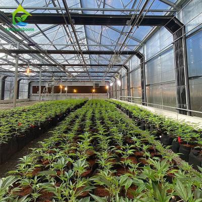 China Blackout Greenhouse For Medical Plants for sale