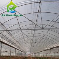 China Strawberries Plastic Film Greenhouse for sale