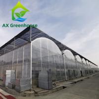 China ODM Transparent Polycarbonate Plastic Film Greenhouse Side Top Ventilation Greenhouse for sale