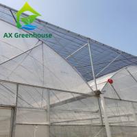 China Hot Galvanized Steel PE Film Greenhouse 44m-52m Length Plastic Tomato Greenhouse for sale