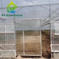 China Hot Galvanized Steel PE Film Greenhouse 44m-52m Length Plastic Tomato Greenhouse for sale