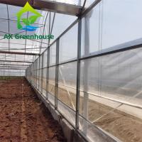 China ODM Transparent Polycarbonate Plastic Film Greenhouse Side Top Ventilation Greenhouse for sale