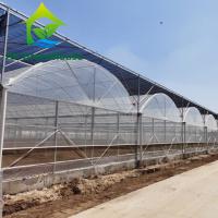 China Hot Galvanized Steel PE Film Greenhouse 44m-52m Length Plastic Tomato Greenhouse for sale
