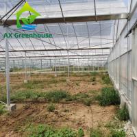 China ODM Transparent Polycarbonate Plastic Film Greenhouse Side Top Ventilation Greenhouse for sale