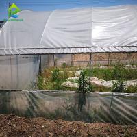 China Stable Structure Easily Assembled 26ft Width Poly Tunnel Greenhouse for Agricultural Use for sale