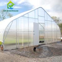 China Economical 200 Mircon Polyfilm Walk In Tunnel Greenhouse For Tomato for sale