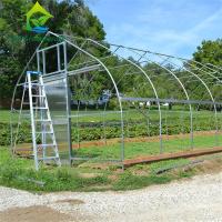 China Stable Structure Easily Assembled 26ft Width Poly Tunnel Greenhouse for Agricultural Use for sale
