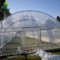 China Stable Structure Easily Assembled 26ft Width Poly Tunnel Greenhouse for Agricultural Use for sale