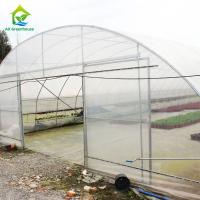 China Stable Structure Easily Assembled 26ft Width Poly Tunnel Greenhouse for Agricultural Use for sale
