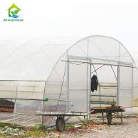 China 8m*30m Hydroponic Poly Tunnel Greenhouse Heavy Duty Plastic Sheeting Greenhouse for sale