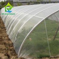 China 0.06mm 0.20mm Thick Flm Poly Tunnel Greenhouse Hot Galvanised Steel Greenhouse for sale
