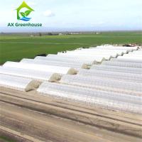 China 0.06mm 0.20mm Thick Flm Poly Tunnel Greenhouse Hot Galvanised Steel Greenhouse for sale