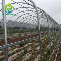China 8m*30m Hydroponic Poly Tunnel Greenhouse Heavy Duty Plastic Sheeting Greenhouse for sale
