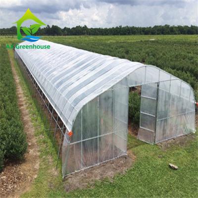 China Economical 200 Mircon Polyfilm Walk In Tunnel Greenhouse For Tomato for sale