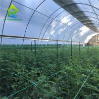 China 8m*30m Hydroponic Poly Tunnel Greenhouse Heavy Duty Plastic Sheeting Greenhouse for sale