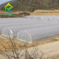 China 0.06mm 0.20mm Thick Flm Poly Tunnel Greenhouse Hot Galvanised Steel Greenhouse for sale