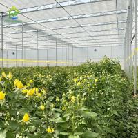 China OEM Sawtooth PO PE Plastic Film Greenhouse For Strawberries for sale