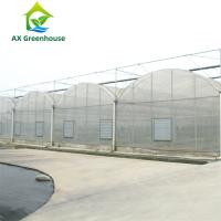 China Intelligent Film Serre Invernadero Greenhouse Multispan Tomato Greenhouse Structure for sale