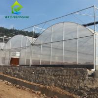 China Intelligent Film Serre Invernadero Greenhouse Multispan Tomato Greenhouse Structure for sale