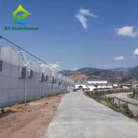 China Hot Dip Galvanized Steel Plastic Film Greenhouse 3-8m Gutter Four Seasons Greenhouse for sale