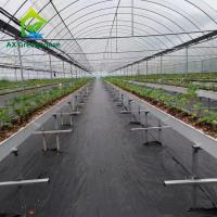 China Hot Dip Galvanized Steel Plastic Film Greenhouse 3-8m Gutter Four Seasons Greenhouse for sale