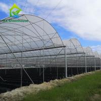 China Hot Dip Galvanized Steel Plastic Film Greenhouse 3-8m Gutter Four Seasons Greenhouse for sale