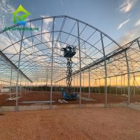 China Intelligent Film Serre Invernadero Greenhouse Multispan Tomato Greenhouse Structure for sale
