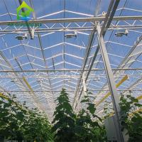 China Commercial Multi-Span Venlo Glass Greenhouse with Hot Galvanized Steel Frame and Triangle Roof Molding for sale