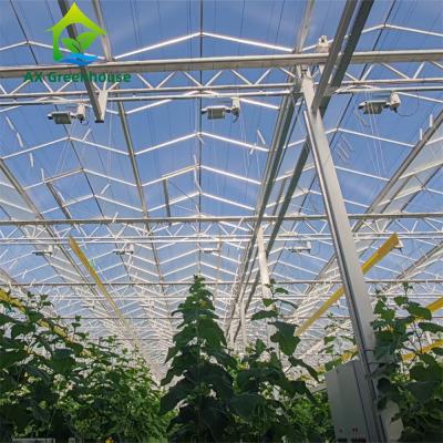 China Commercial Multi-Span Venlo Glass Greenhouse with Hot Galvanized Steel Frame and Triangle Roof Molding for sale