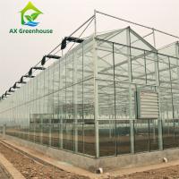 China Triangle Roof Agricultural Glass Greenhouse 9.6m Width Winter Lettuce Greenhouse for sale