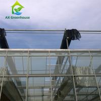 China Commercial Multi-Span Venlo Glass Greenhouse with Hot Galvanized Steel Frame and Triangle Roof Molding for sale