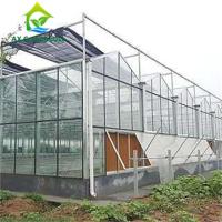 China Triangle Roof Agricultural Glass Greenhouse 9.6m Width Winter Lettuce Greenhouse for sale