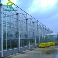 China Triangle Roof Agricultural Glass Greenhouse 9.6m Width Winter Lettuce Greenhouse for sale