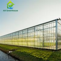 China Venlo Winter Glass Tomato Greenhouse for sale