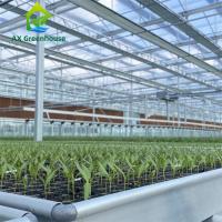 China Venlo Winter Glass Tomato Greenhouse for sale