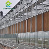 China Greenhouse CO2 Sensor Monitoring System Intelligent Carbon Dioxide Sensor for sale