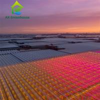 China Intelligent Hydroponic Roses Greenhouse for sale