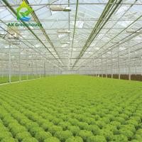 China ODM Industrial Agricultural Glass Greenhouse for sale
